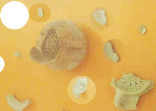 The Museum of Assultan: Ancient Sert City & Museum: